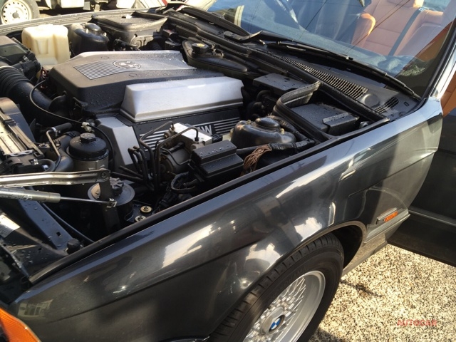 E34型BMW 540 実走行距離で16000km／驚く個体 | スペシャルショップ | AUTOCAR JAPAN
